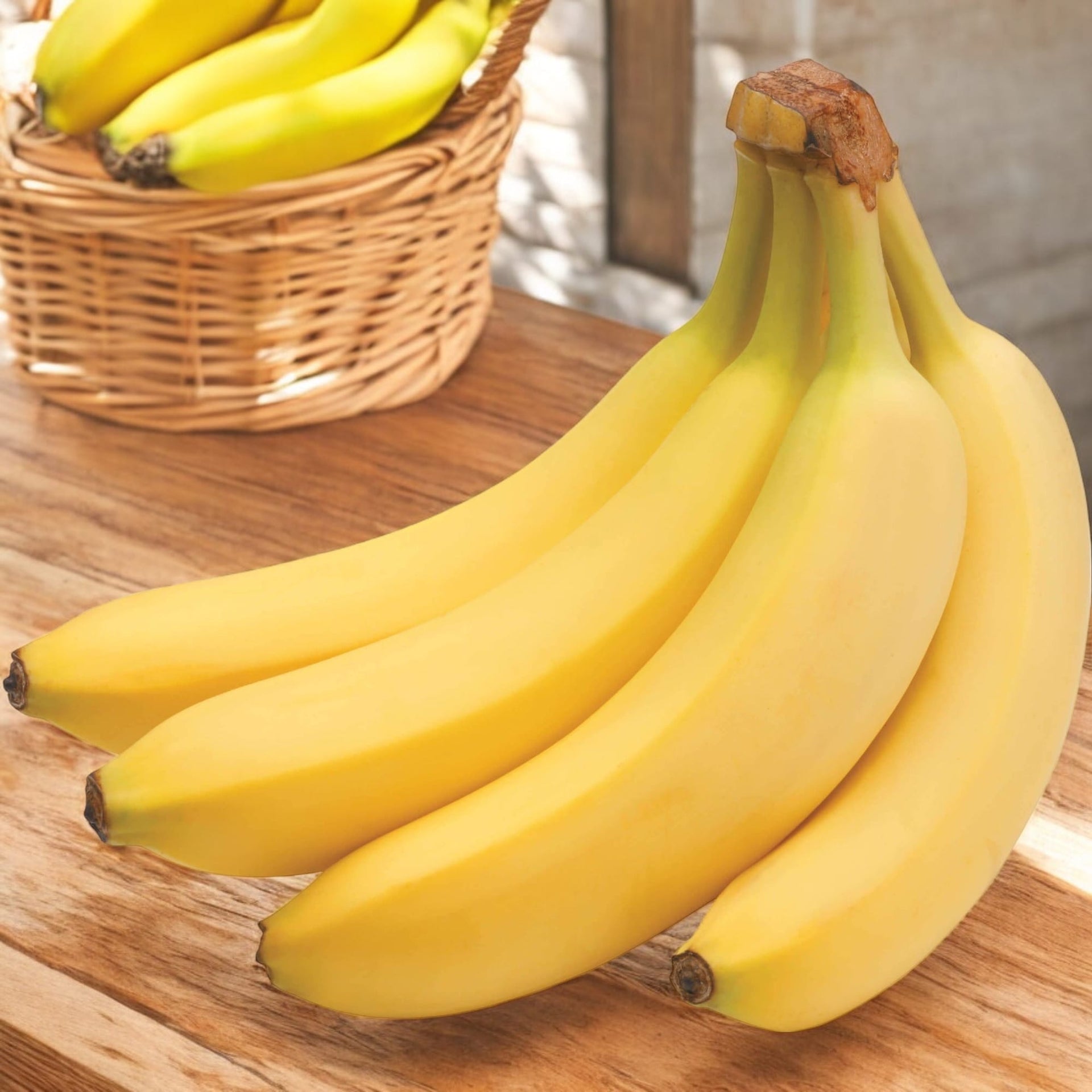 Bananier pitic - Musa acuminata 'Dwarf Cavendish' (Cavendish Banana ...