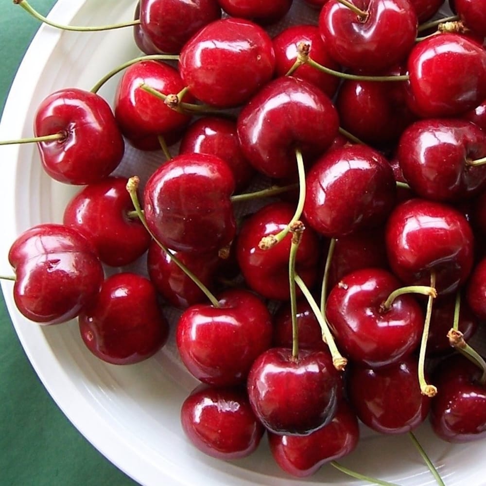 Cires Lapins in ghiveci - Prunus avium 'Lapins' - coroana formata, H10 ...