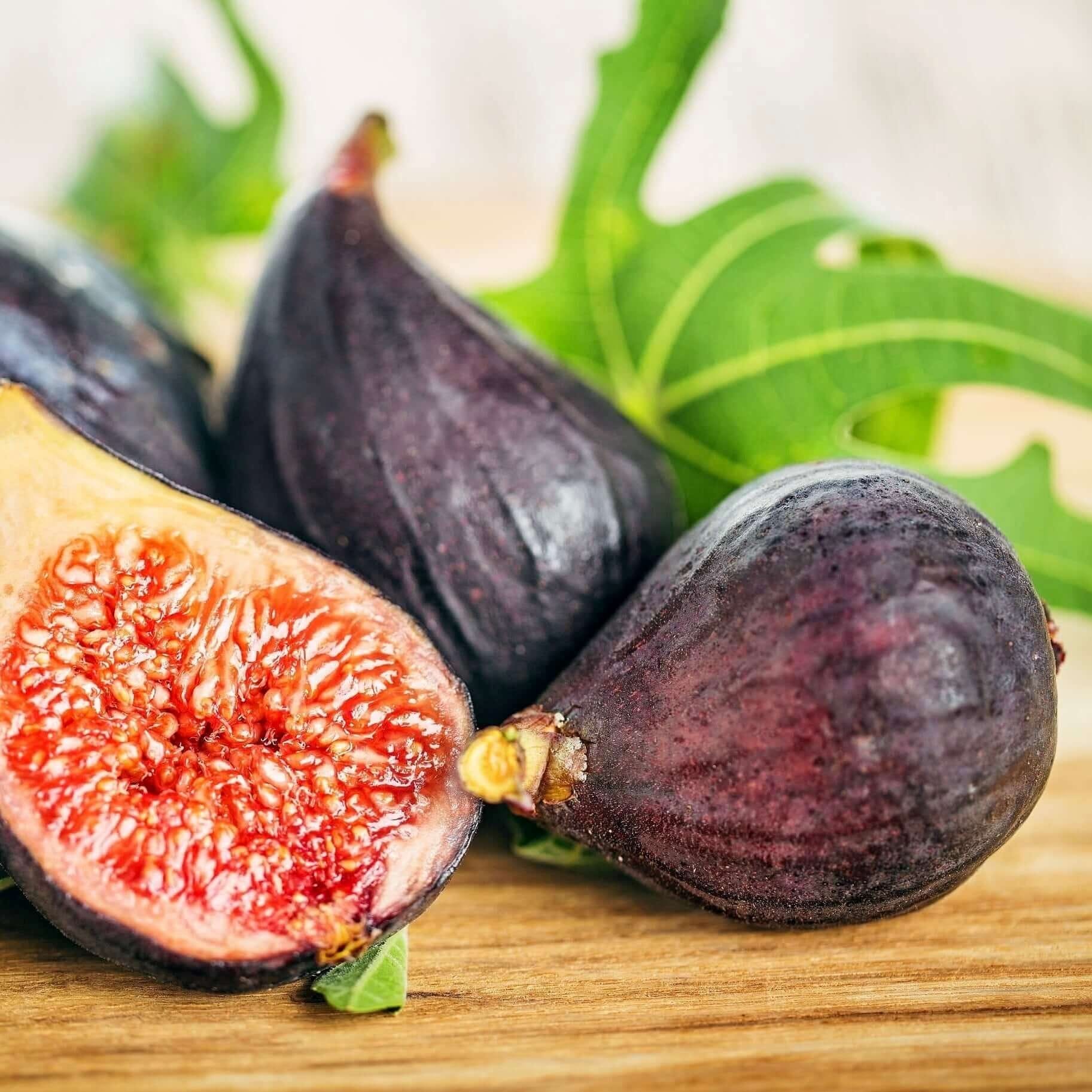 Smochin compact - Ficus carica 'Little Miss Figgy' (Ficus carica 'Majo ...