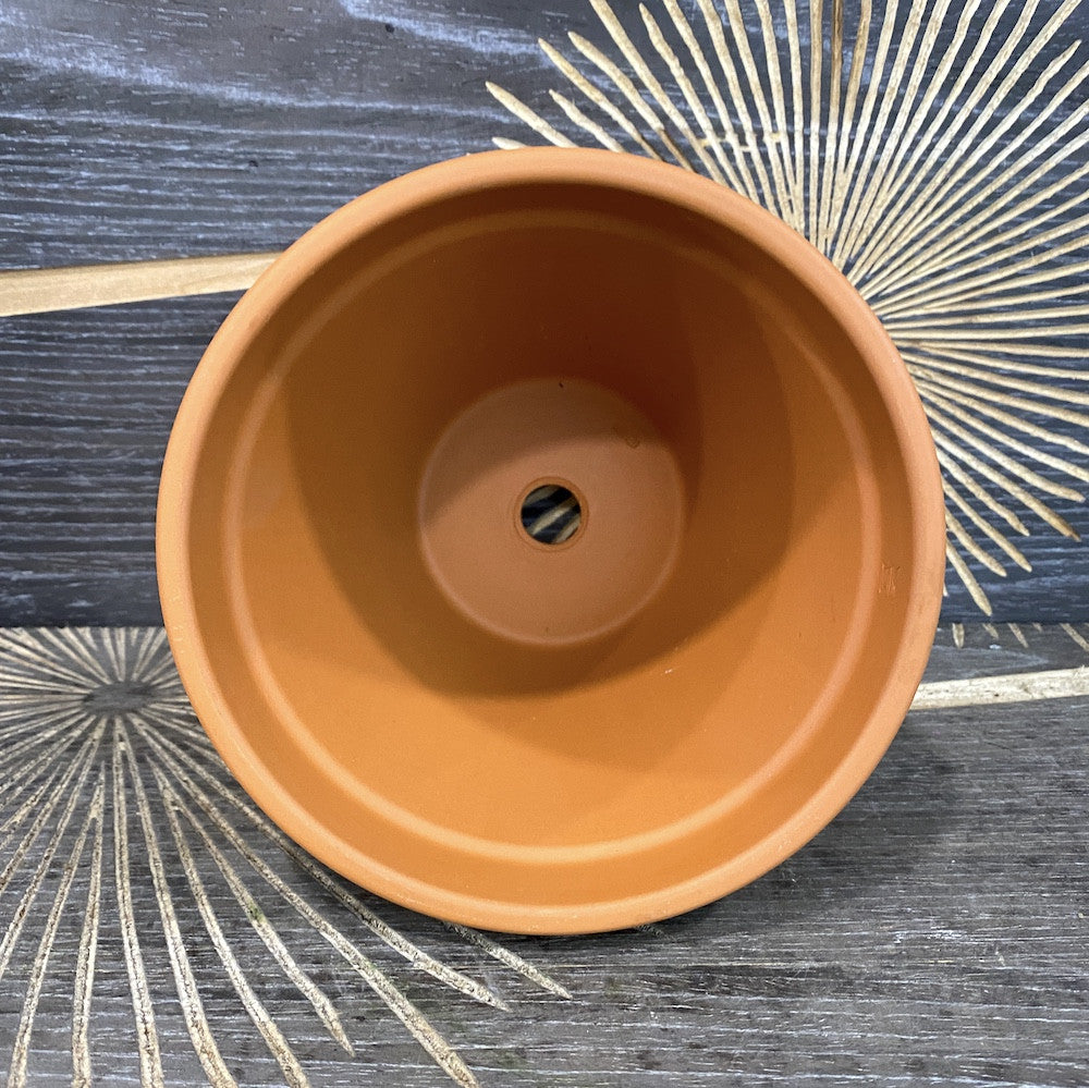 Ghiveci lut H15.5 cm x D17.9 cm – Secret Garden Plant Shop